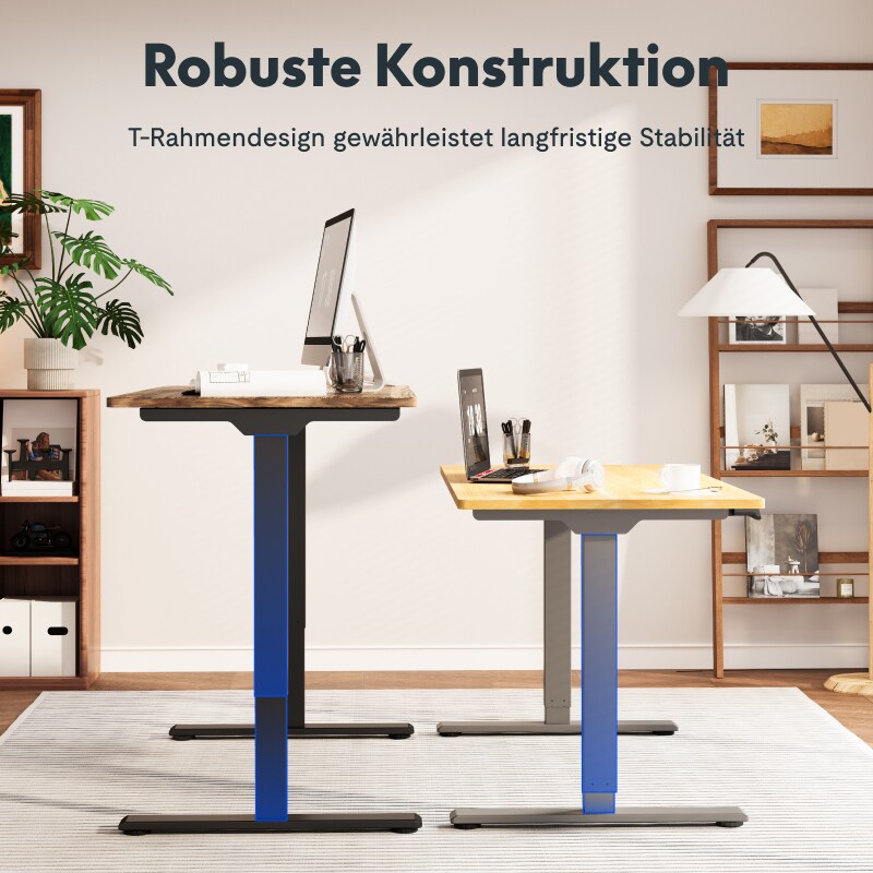Flexispot e1 height adjustable desk store