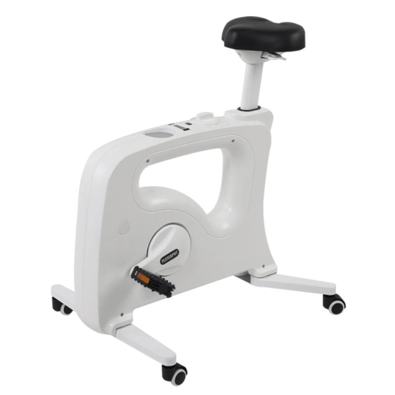 Cycle desk bike store