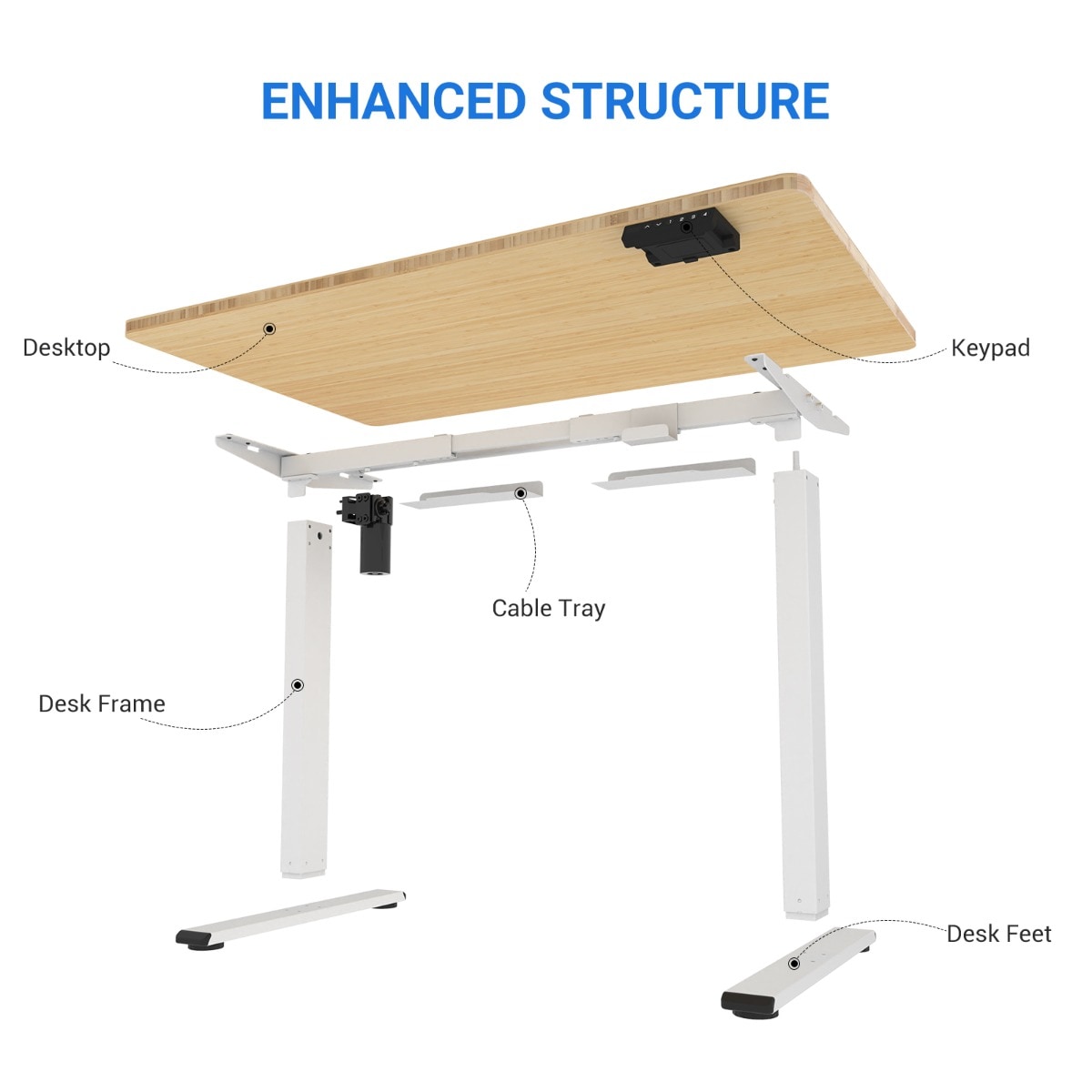 Flexispot eg1 store