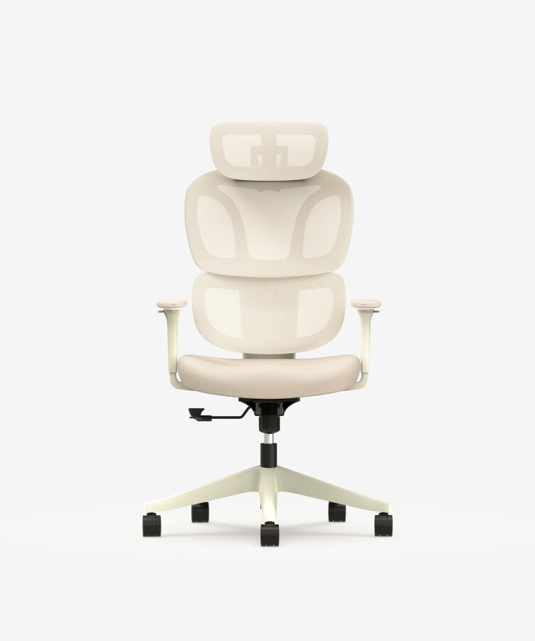 Stoel | FlexiSpot NL | FlexiSpot