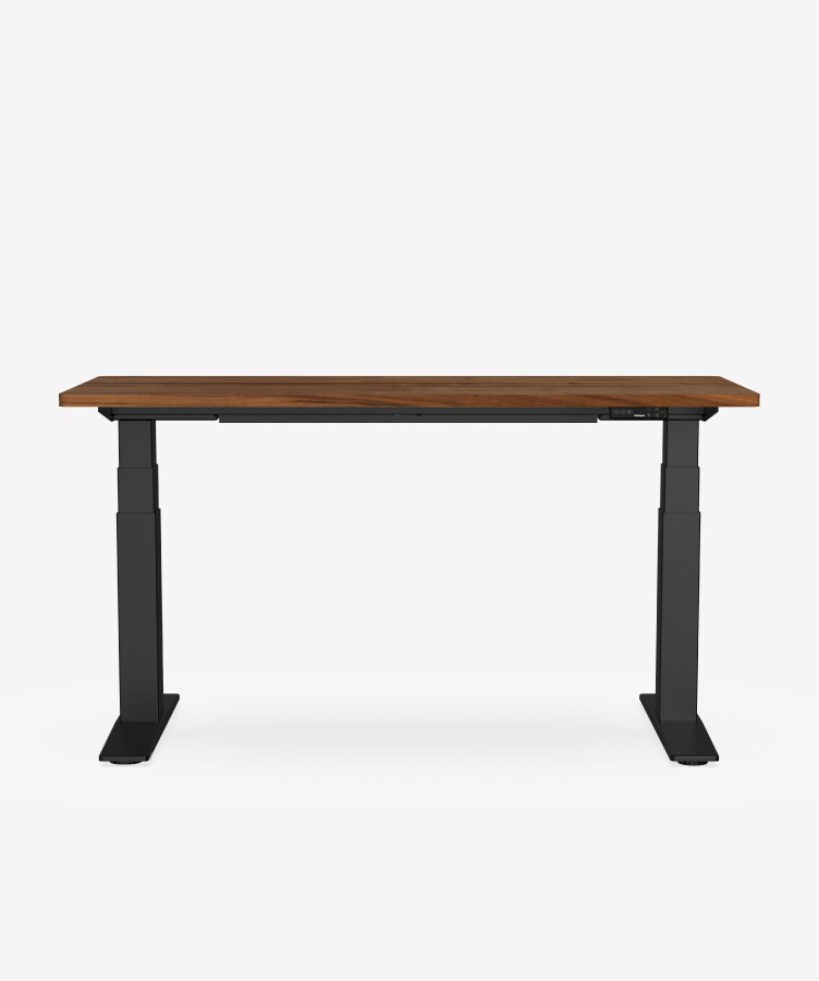 Flexispot sanodesk e9 store